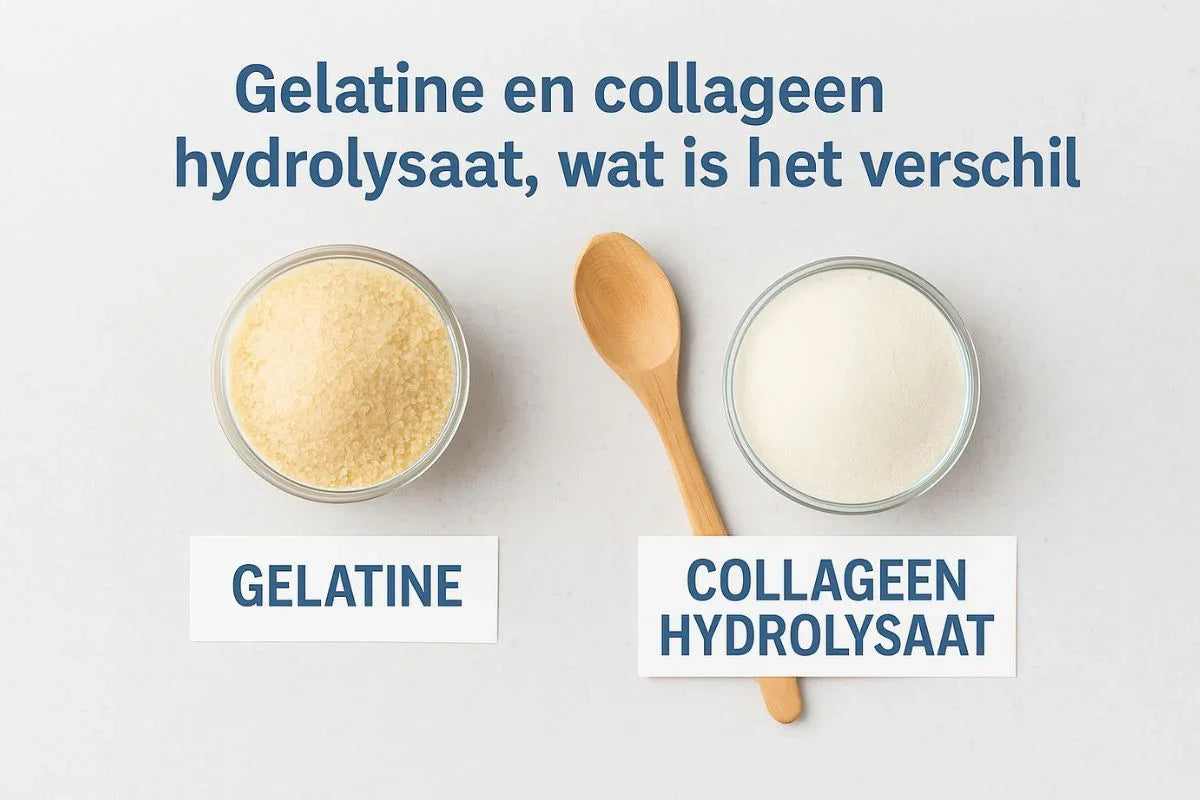 Gelatine und Kollagenhydrolysat, was ist der Unterschied?